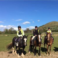 Pony Trekking - Rookin House Activity Centre