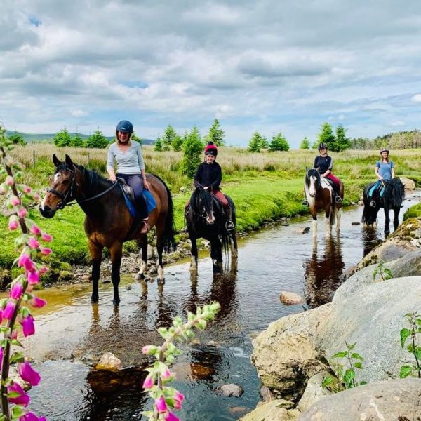Shop - Rookin House Activity Centre