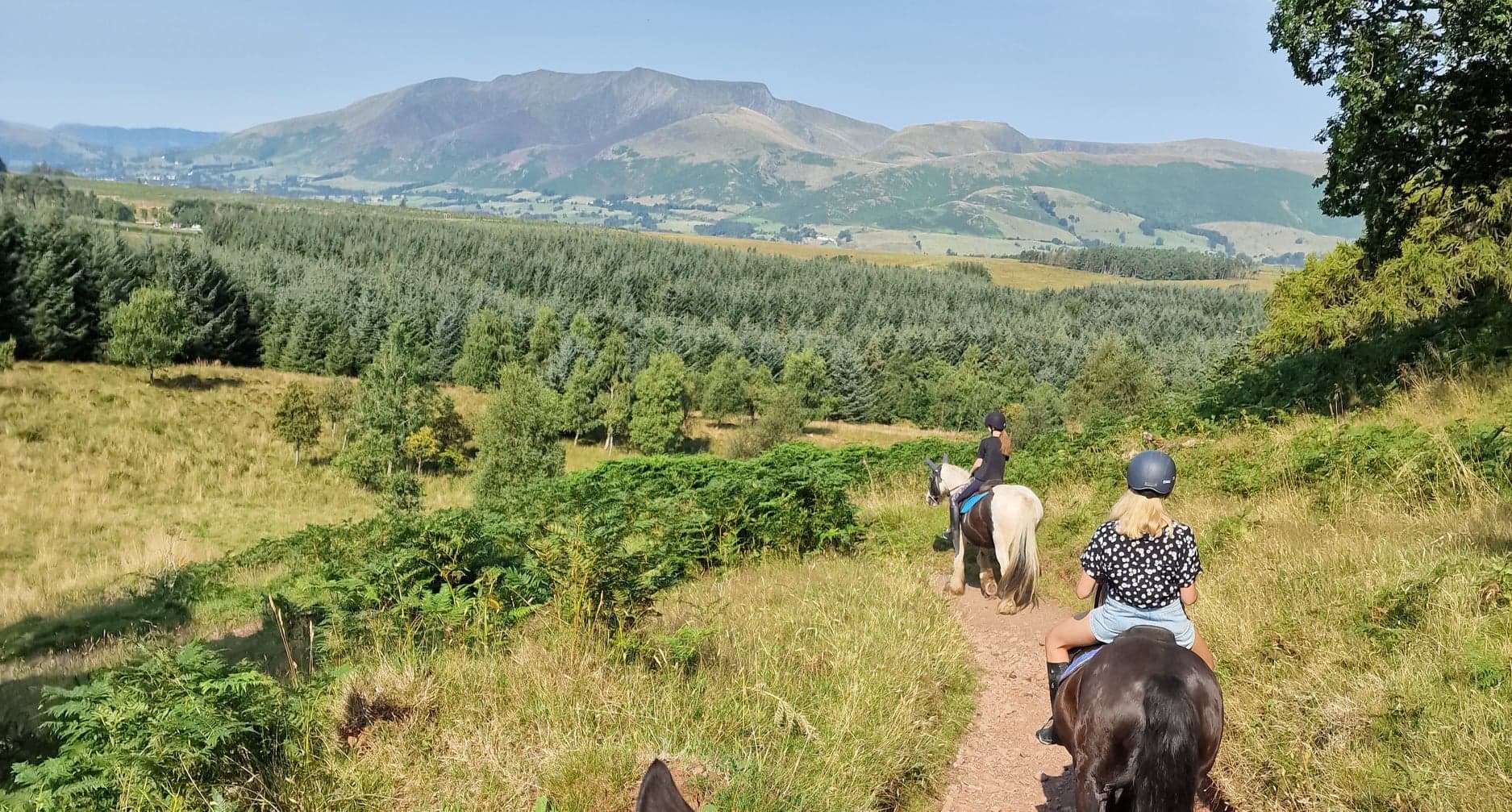 Horse Riding at Rookin House