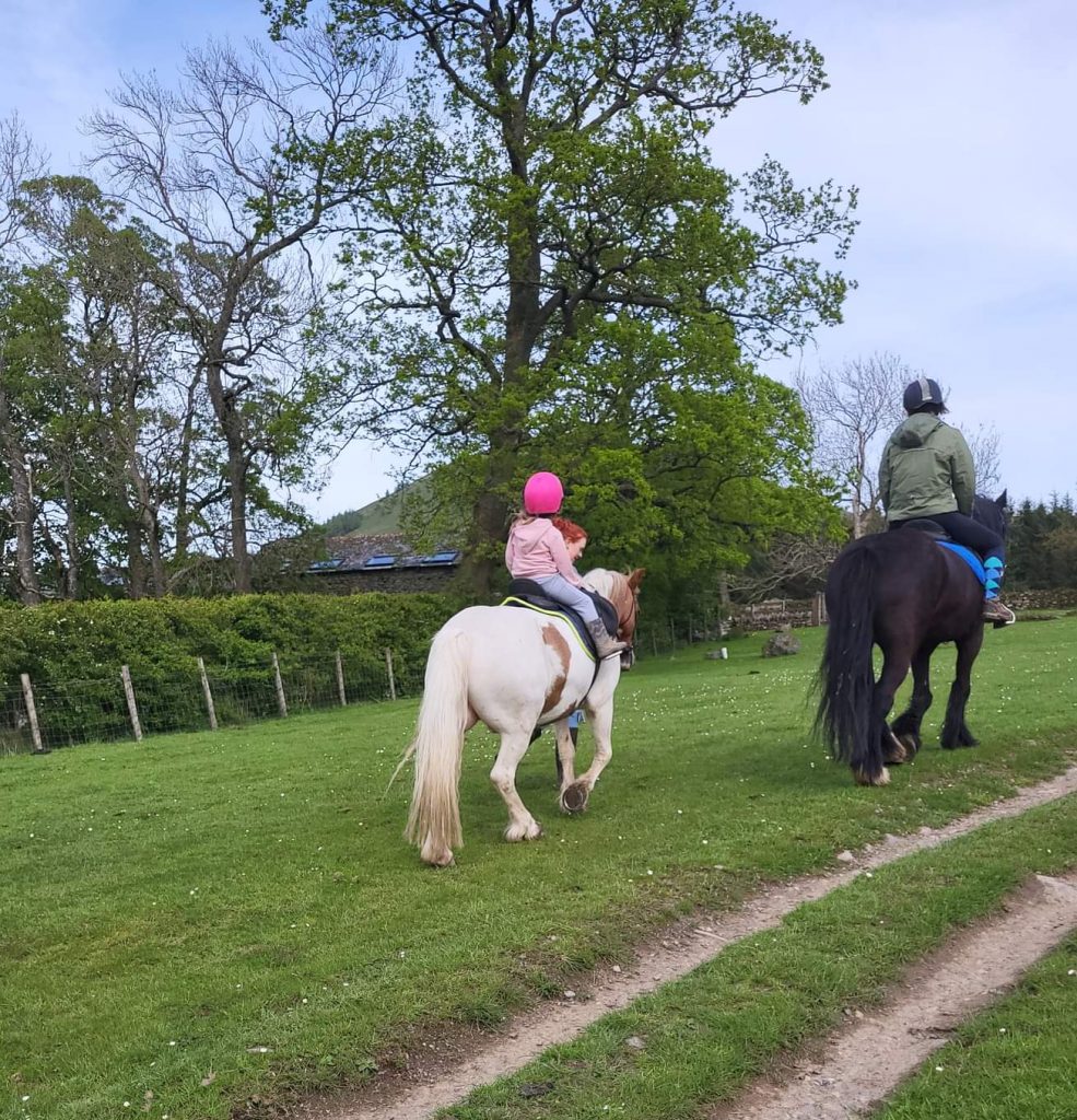 Family Ride - Rookin House Activity Centre